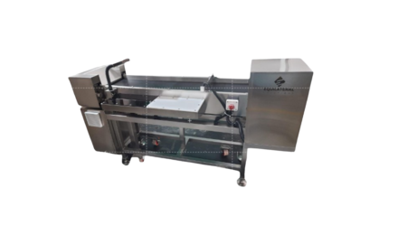 Equilateral Solution